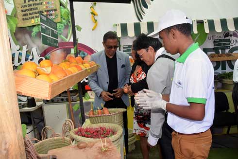 TerraBio : Un nouveau mode de consommation