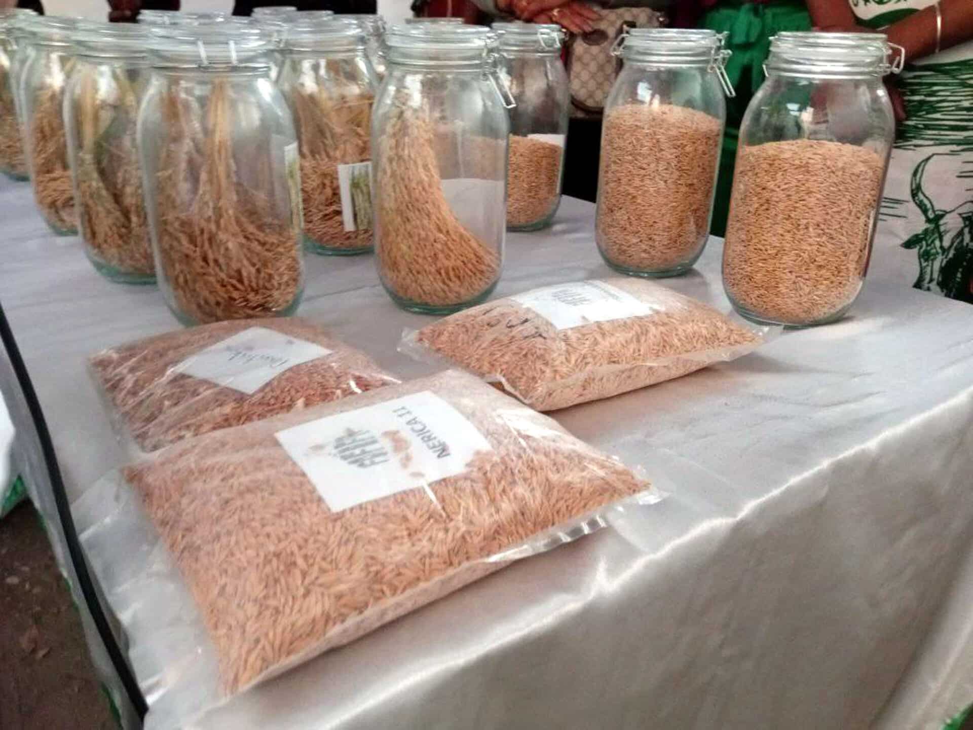 FOFIFA : Diffusion de nombreux résultats de recherche