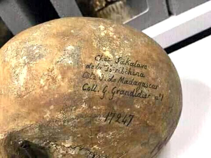 Patrimoine : La restitution du crâne du roi Toera en 2025