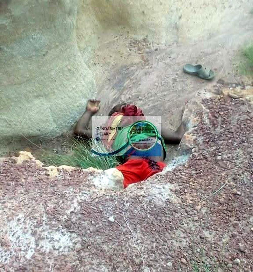 Morafenobe : Dahalo maty teo am-pangalarana omby