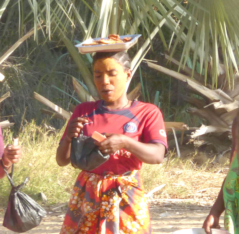 Masonjoany : En voie de disparition